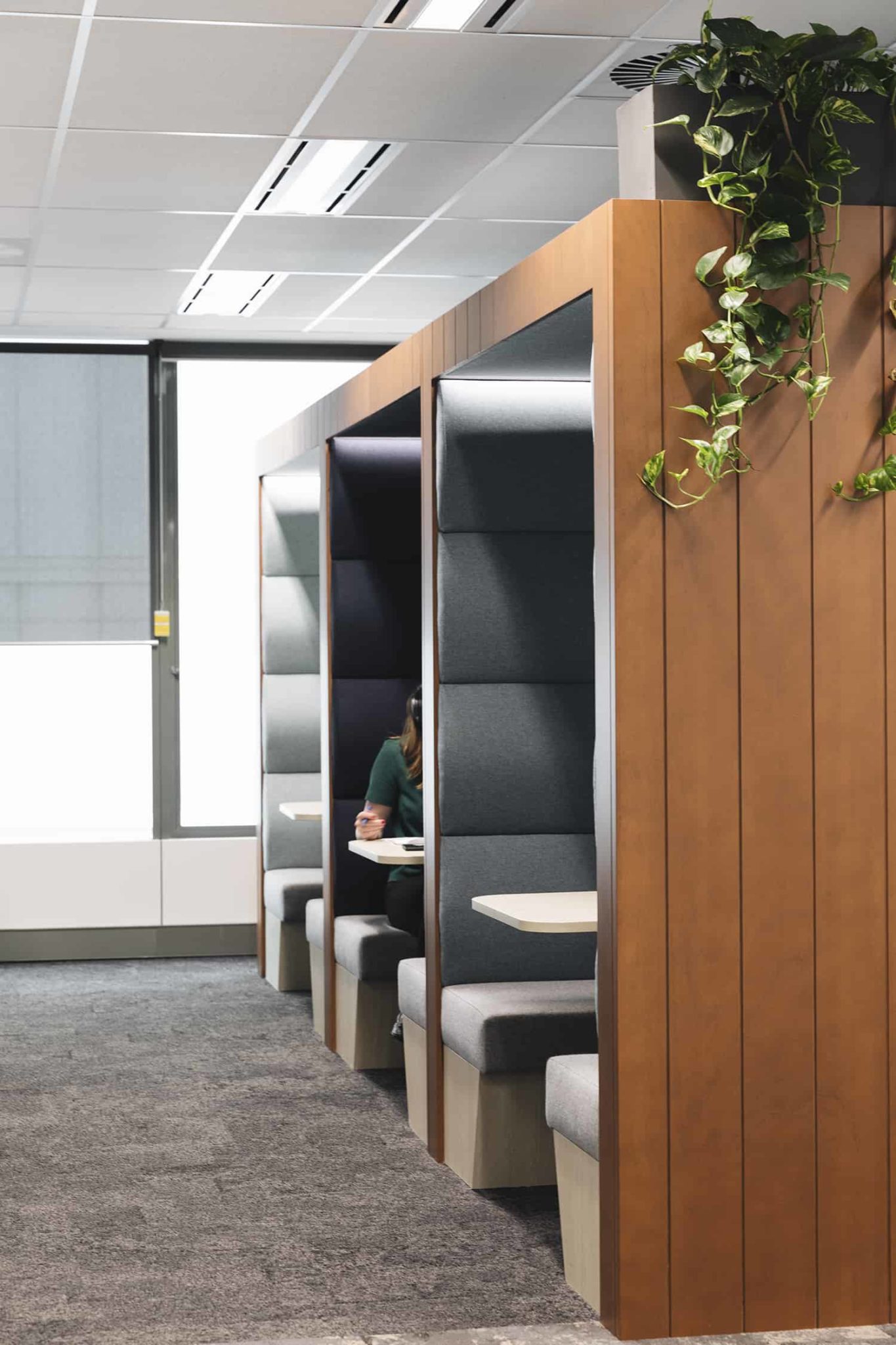 50-resized - QUADRIC